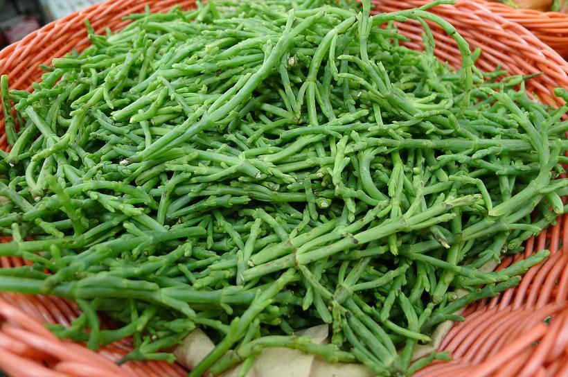 Pacific Northwest Wild and Cultivated Produce Package | To-Table